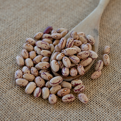 Seed Supplier & Distributor For Commercial Farmers, South Africa