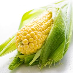 Sweetcorn Seed - McDonalds Seeds